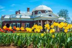 10 Colorful (and Fun!) Things to Do in Virginia in Spring