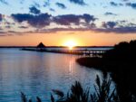 20 Best Things to Do in Ocean City MD (+ Attractions Nearby!)