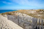 10 Beautiful Delaware Beaches (to Add to Your Bucket List!)