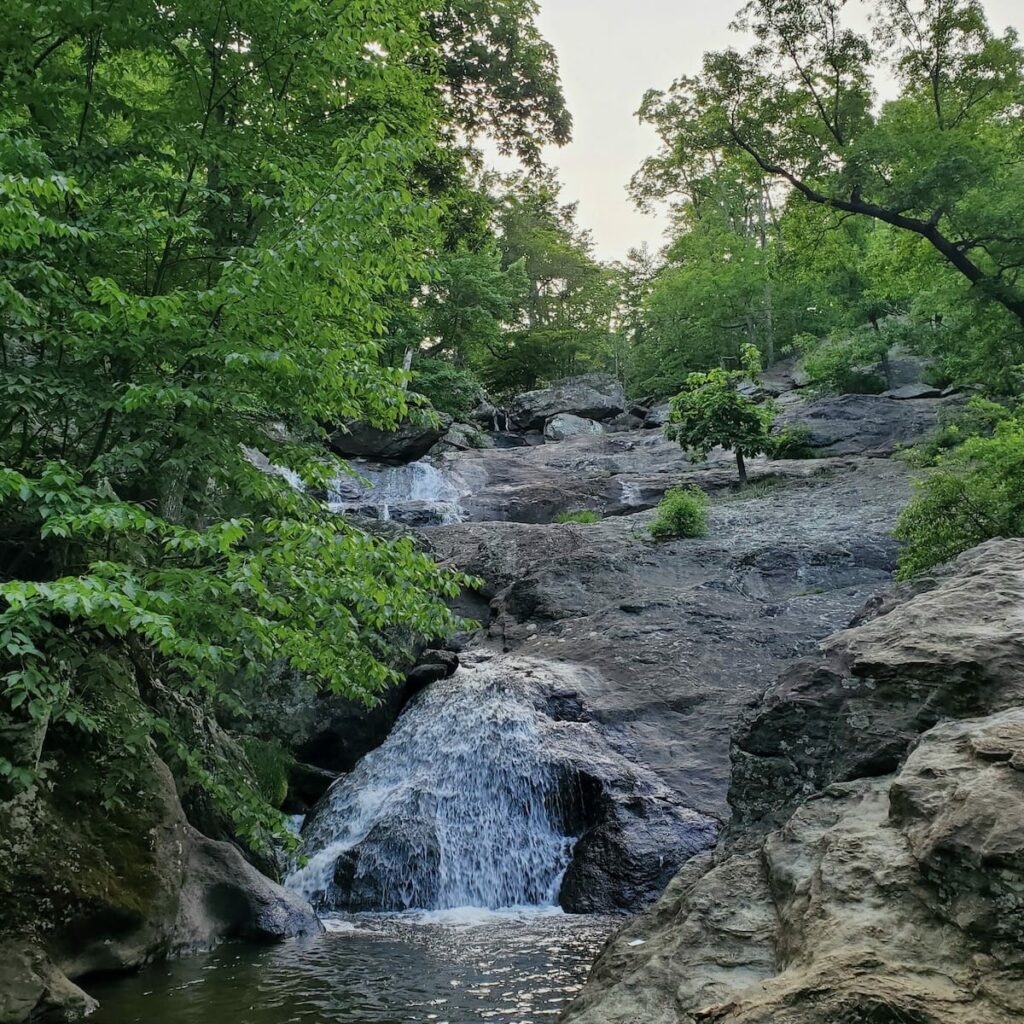5 Fantastic Hiking Trails in Frederick, MD (+ Nearby!)